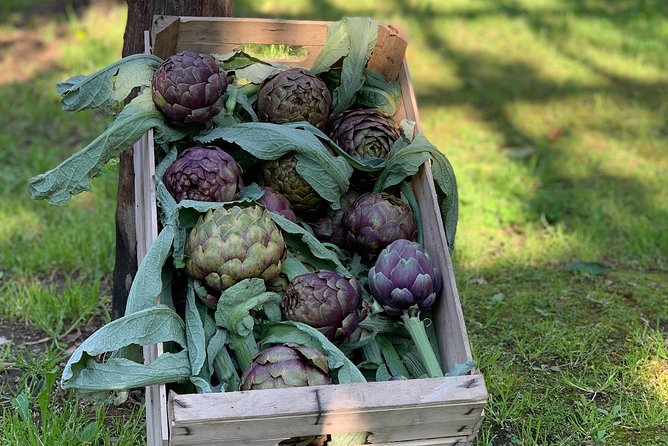 Cook and Eat in a Citrus Grove in Sorrento - Final Thoughts: Who Is This Experience Perfect For?