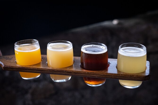 Craft Beer & Food Tour in Porto - Who Should Book This Tour?