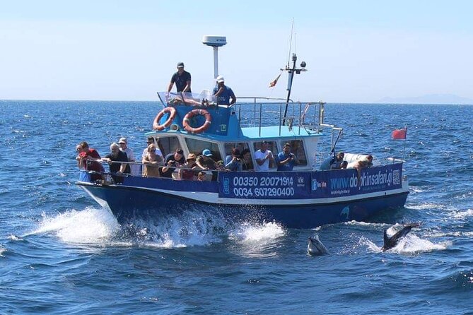 Dolphin Watching in Gibraltar Dolphin Safari V.I.P - Final Thoughts