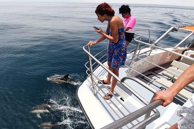 From Lagos: Dolphin Watching Cruise on a Catamaran - Practical Tips for Travelers