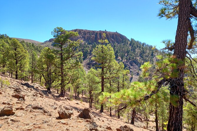 Hiking in Tenerife's Great Outdoors - Who Should Consider This Tour