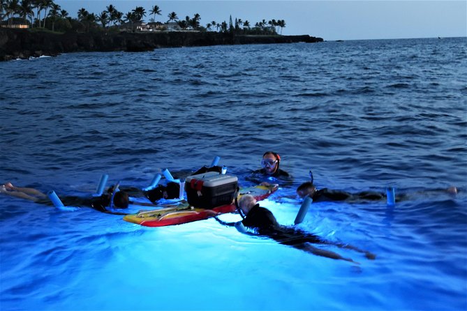 Kona Manta Rays Guaranteed Night Snorkel in Keauhou Harbor - Final Thoughts