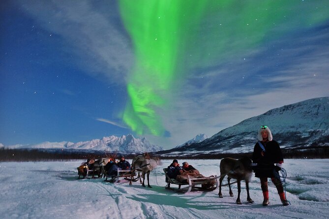 Overnight Stay with Reindeer Sledding & Feeding - The Sum Up