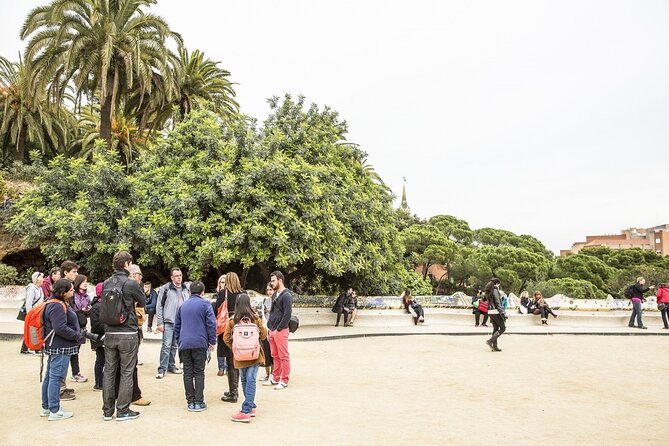Park Güell: Guided Tour with Optional Gaudí Experience Entry - Who Is This Tour Best For?