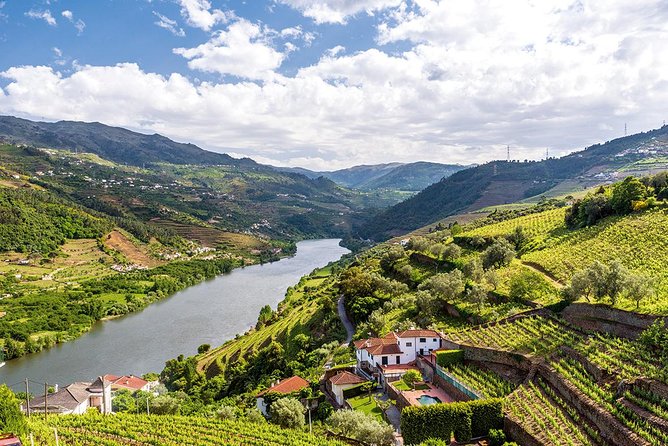 Porto: Douro Valley Wine Tour Including Lunch - Return and Reflection