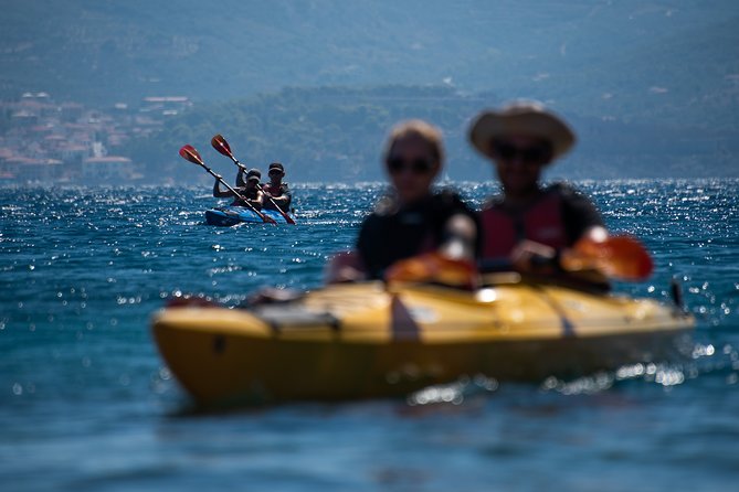 Sea Kayaking in Navarino Bay - Frequently Asked Questions