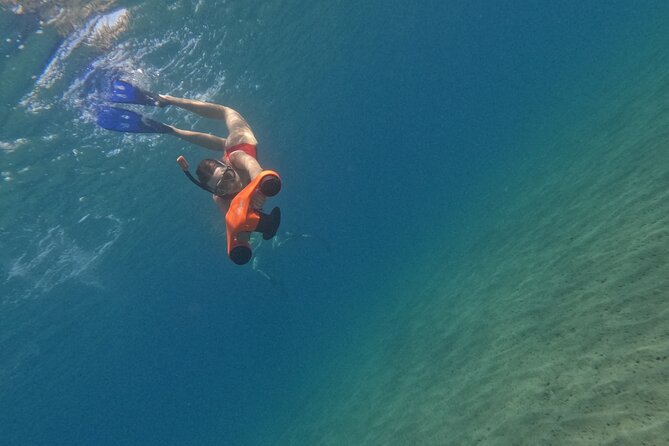 snorkeling ,Turtle Watching in Cyprus - Practical Tips for Travelers