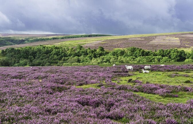 Steam Trains, Whitby, and the North York Moors Full-Day Tour from York - Practical Tips for Future Travelers