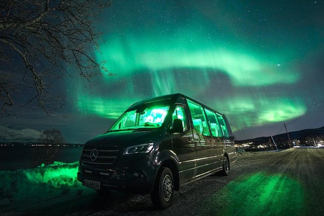 Symphony - Arctic Breeze, teamining up with nature. - The Sum Up