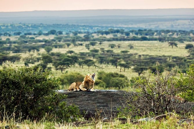Tanzania Classic - 7 Days - Who Should Consider This Tour?