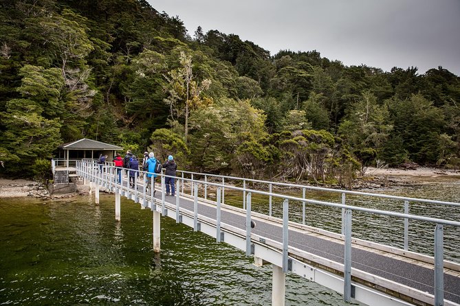 Te Anau Glow Worm Caves Tour - Final Thoughts