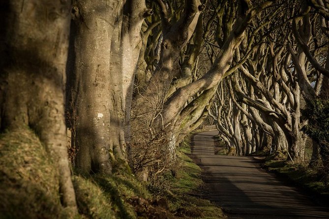 Titanic Experience and Giant's Causeway tour from Belfast - FAQ