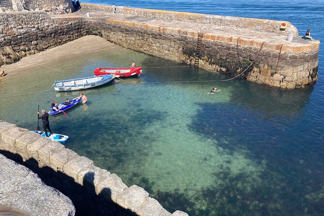 Top-Rated Walking Tour of Scenic Coastal Dublin (Dun Laoghaire) - Customer Experience
