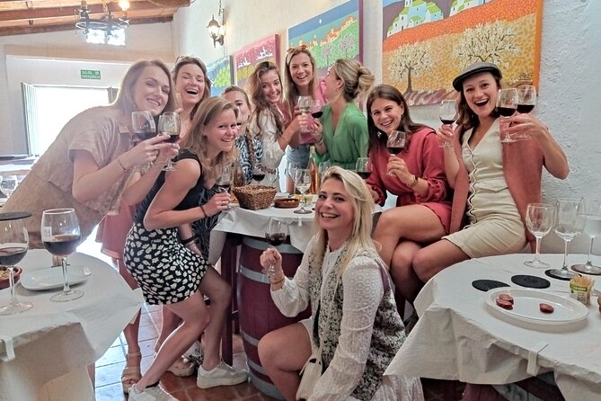 TOP WINE TOUR- Vineyard & cellar visit + 6 top wines + tapas - The Sum Up
