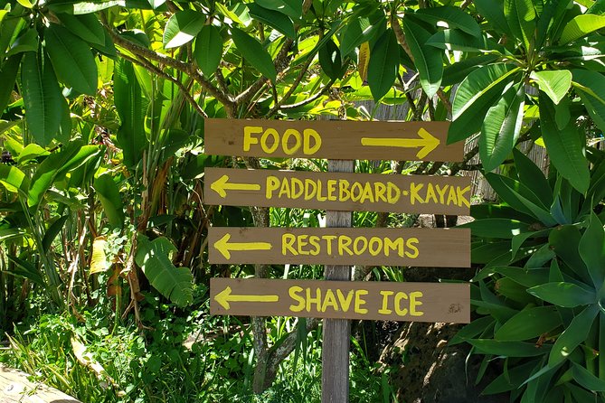 Tour of North Shore & Waimea Waterfall - Botanical Gardens & Waterfall Adventure