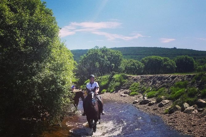 Wicklow Mountains Horse Trekking - The Sum Up