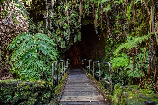 Big Island in a Day: Volcanoes Waterfalls Sightseeing and History - Who Will Love This Tour?
