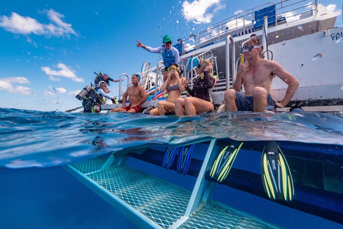 Calypso Outer Great Barrier Reef Cruise from Port Douglas - The Sum Up