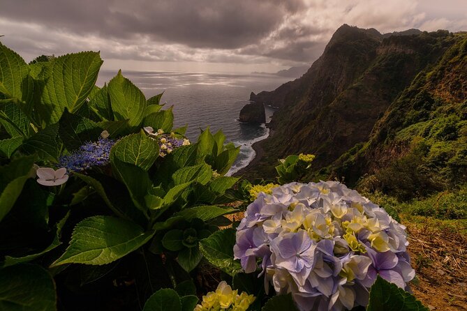 Full Day Tour to West Madeira Island - Final Thoughts