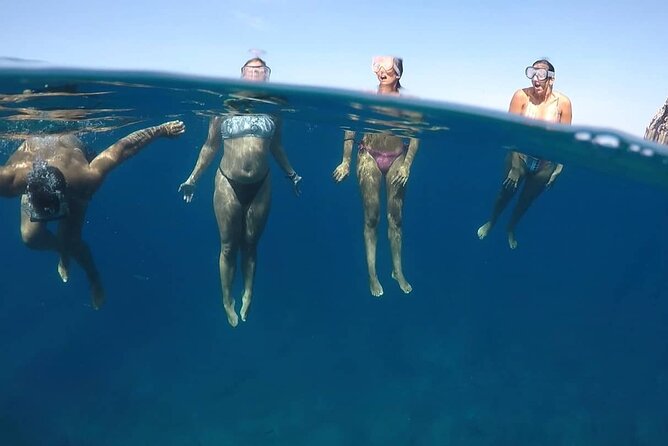 Kayak Safari with Dolphin and Turtle Watching in Guaza - The Sum Up: Who Will Love This Tour?