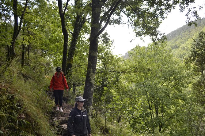 Private Geres National Park Tour - Who Will Love This Tour?