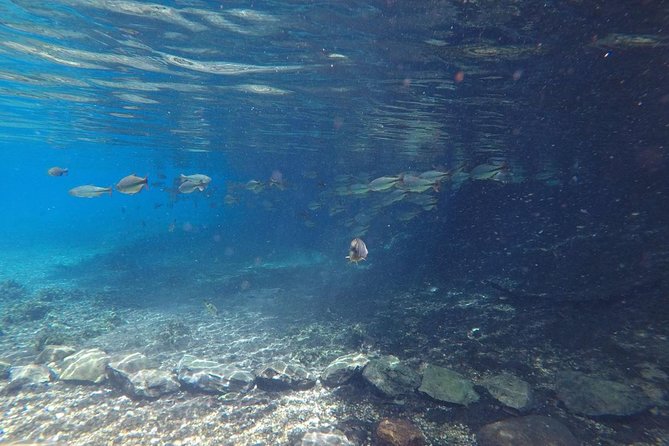Skip the Line:Recanto Ecologico Rio da Prata Ticket including Trail & Snorkeling - Final Thoughts