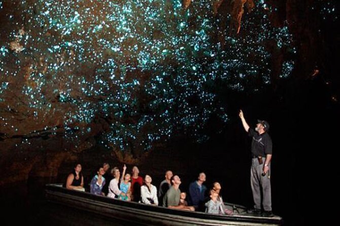 Te Anau Glow Worm Caves Tour - FAQ
