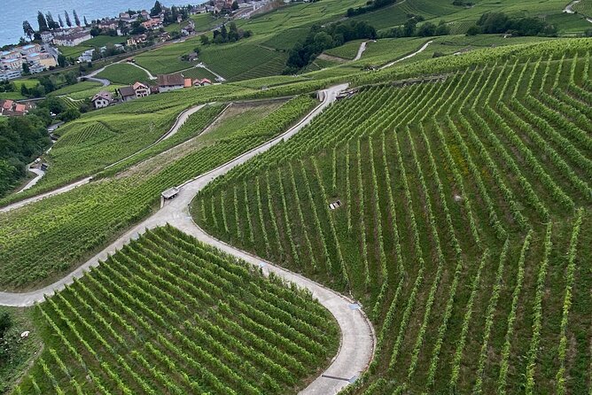 Vine Stories: Lavaux & Lutry wine walk - Final Word