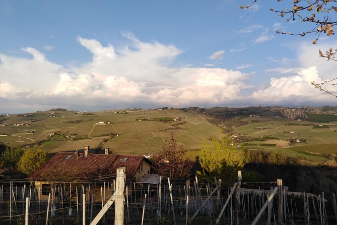 Abellonio Cascina Piccaluga - visit to the vineyards, to the wine tasting cellar - Introduction