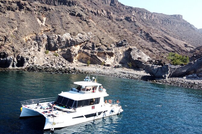 Afrikat Morning Cruise - Key takeaways