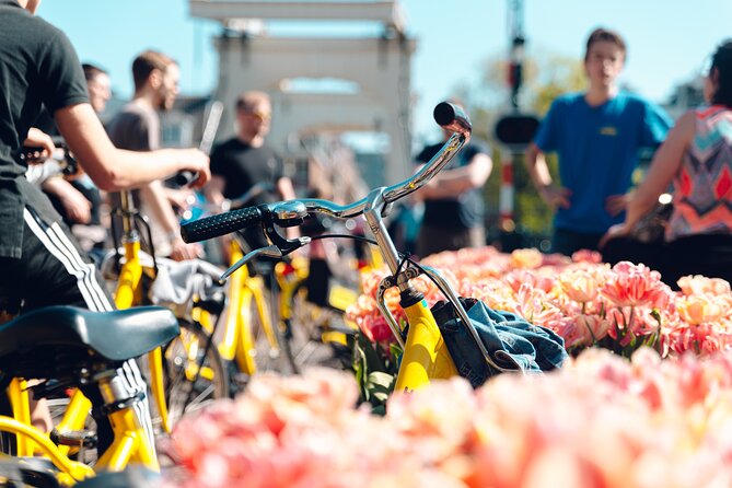 Amsterdam Small-Group Bike Tour - Key Points:
