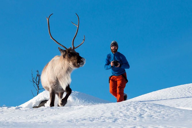 Arctic Nature Photography Sightseeing Tour from Tromso - Key Points