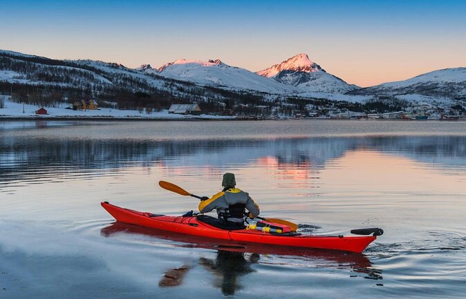 Arctic Nature Tour from Tromsø by minibus - Key Points