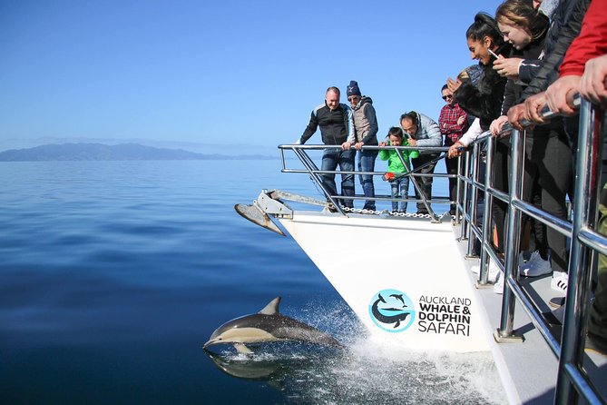 Auckland Dolphin and Whale Watching Eco-Safari Cruise - Auckland Dolphin and Whale Watching Eco-Safari Cruise: An In-Depth Review