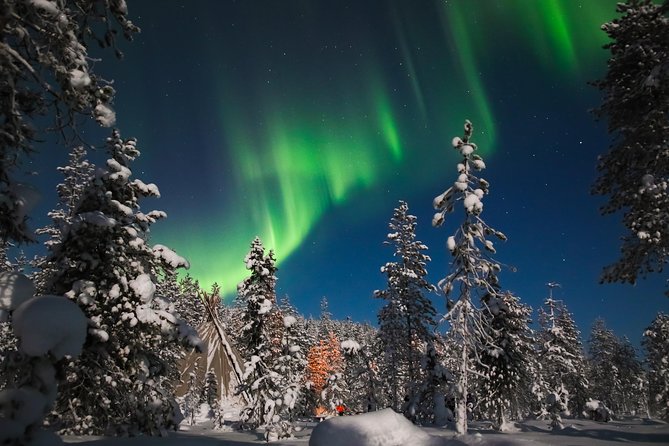 Aurora Borealis Picnic in Rovaniemi - Aurora Borealis Picnic in Rovaniemi: A Deep Dive into Arctic Magic