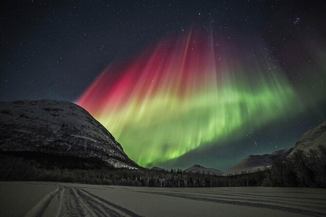 Aurora Chase with professional photographers (Northern Lights) - Aurora Chase with Professional Photographers: A Deep Dive into a Tromsø Adventure