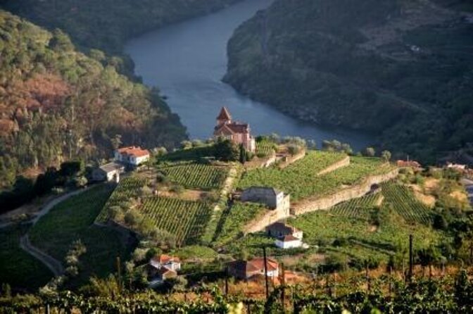 Authentic Small Group Douro Wine Tour with Lunch & River Cruise - Key Points