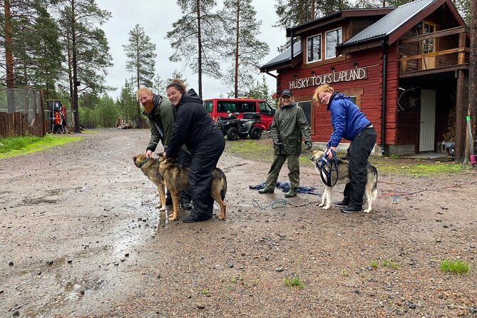 Autumn Husky Sit and Drive Cart Tour from Kiruna - Discovering the Autumn Husky Sit and Drive Cart Tour from Kiruna
