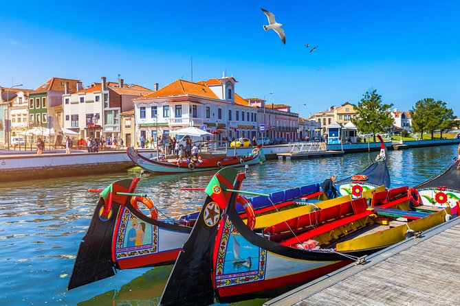 Aveiro and Costa Nova Half Day Tour from Porto with Boat Ride - Key Points