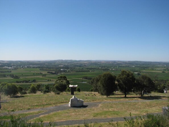Barossa Premium Wine Tasting Tour & lunch Departs 7 days a week - Key Points