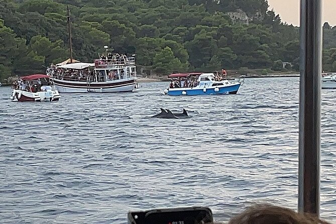 Beautiful Sunset and Dolphin Watching - Discovering the Sunset and Dolphins with Brijuni Boat Tours