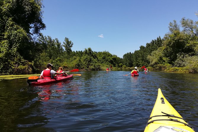 Belgrade Amazon Kayak Adventure - Introduction: A Surprising Natural Escape in Belgrade