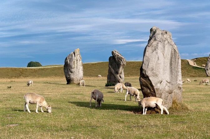 Bespoke private tours of Stonehenge and Avebury by car with local guide - Key Points