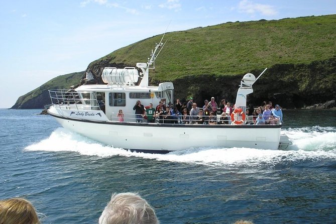 Blasket Island Eco Tour. - Exploring the Blasket Island Eco Tour: A Detailed Look