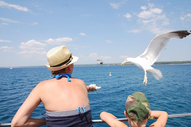 Brijuni National Park Boat Excursion from Pula. With a visit to the island - Key Points