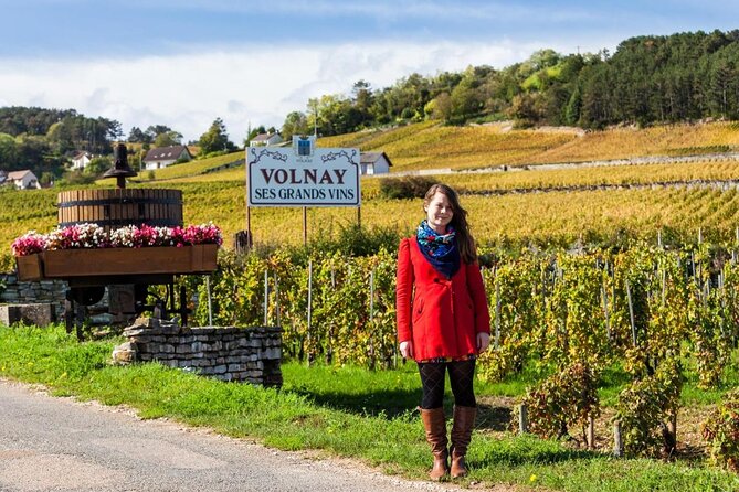 Burgundy Grand Crus Route Day Tour - 14 Wines Tastings in Domains - Key Points