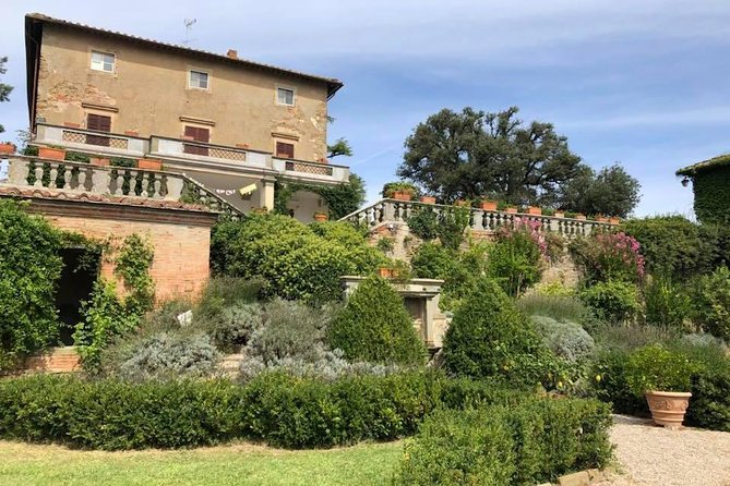 Cellar Tour & Wine Tasting - Exploring the Cellar Tour & Wine Tasting Near Arezzo: An In-Depth Review
