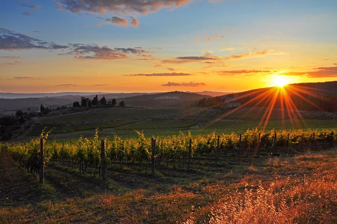 Chianti Half-day Wine Tour in the Tuscan's Hills from Pisa - Key Points