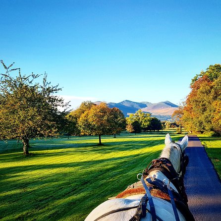 Combination Killarney Jaunting Car Tour and Lakes of Killarney Cruise - Exploring the Killarney Combo Tour: A Gentle Glide Through Ireland’s Heartland