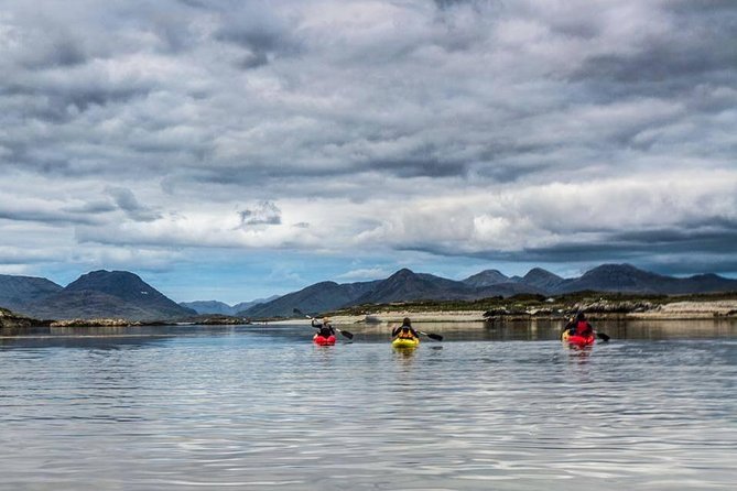 Connemara Coastal kayaking - Who Should Consider This Tour?